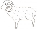 Disegno di un ariete da colorare | Cose per crescere