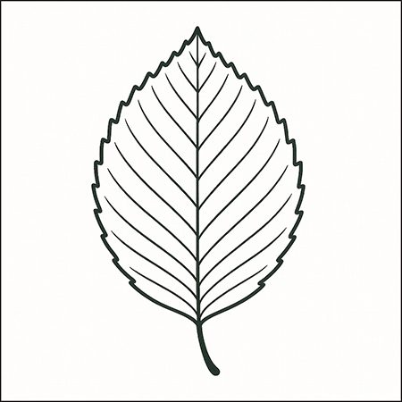 Foglia autunno disegno da stampare e colorare per bambini