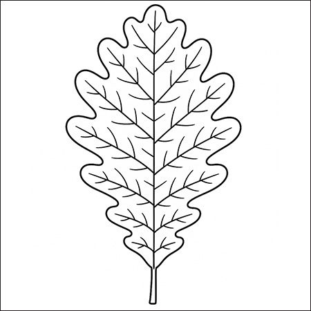 Foglia autunno disegno da stampare e colorare per bambini