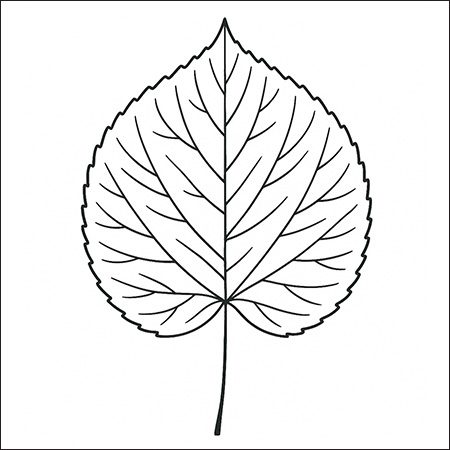 Foglia autunno disegno da stampare e colorare per bambini
